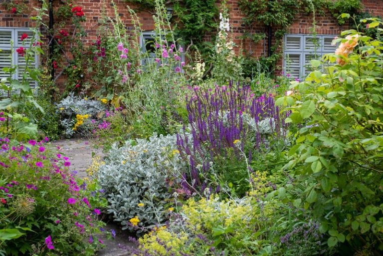 Cottage tuin: welke planten in een Engelse tuin?