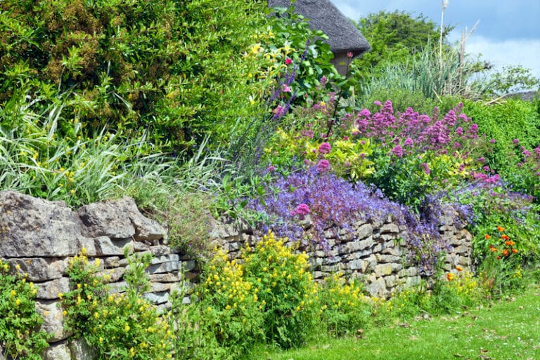 Cottage tuin: welke planten in een Engelse tuin?